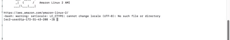 Deploying a Node.js application to AWS EC2 with NGINX and PM2 - Developer Diary